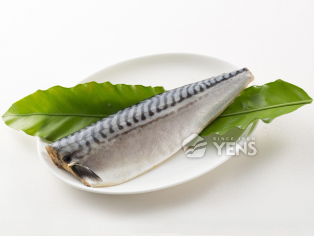 Salted Mackerel Fillet | YENS
